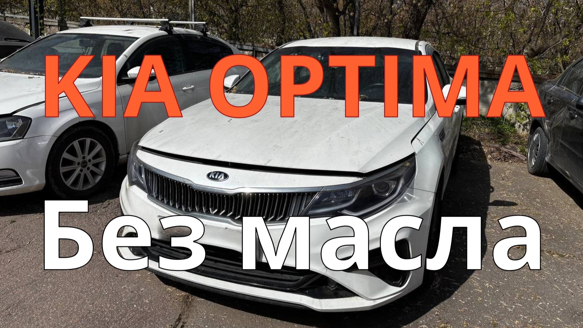Куда пропало масло или о задирах можно больше не переживать / Kia Optima / Изъятый банком за долги