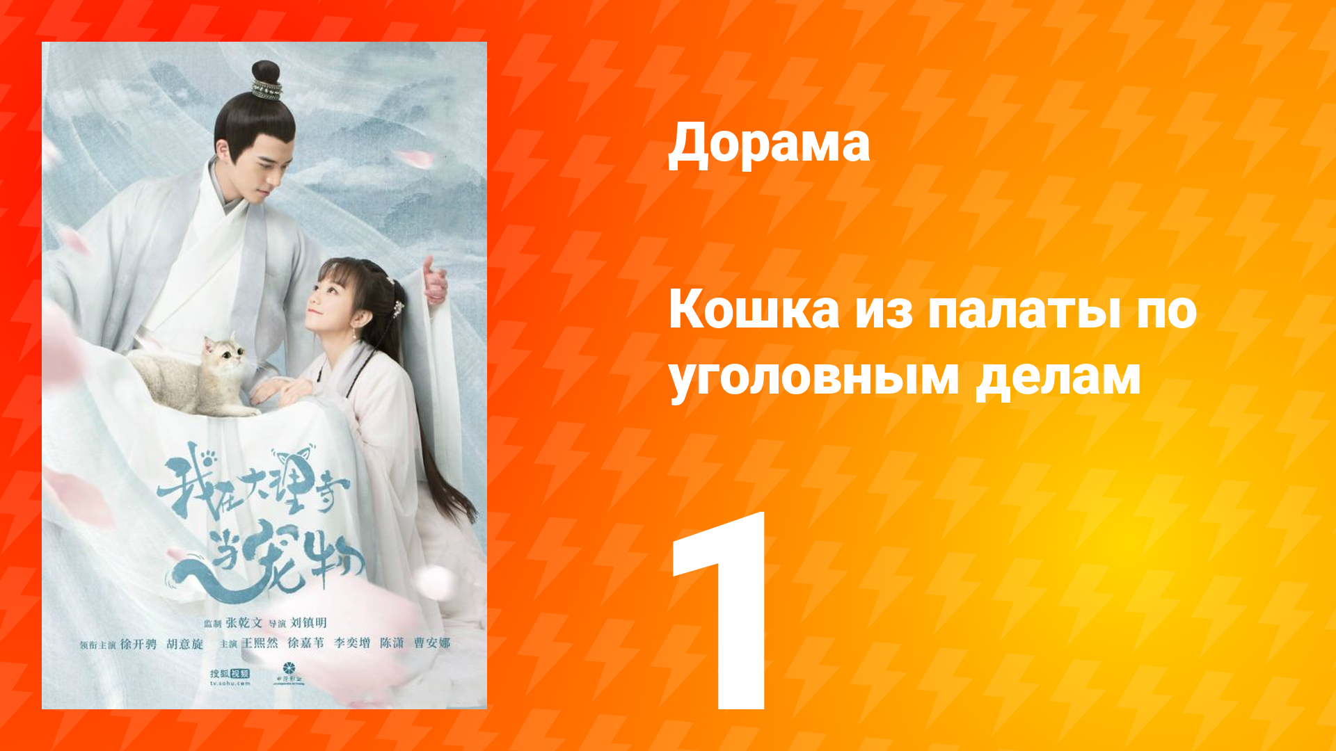 Кошка из палаты по уголовным делам 1 сезон 1 серия