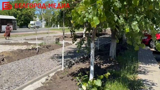 В Белгороде продолжают благоустройство прогулочной зоны вдоль проспекта Б. Хмельницкого