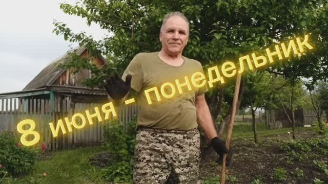 И снова прохладное июньское утро