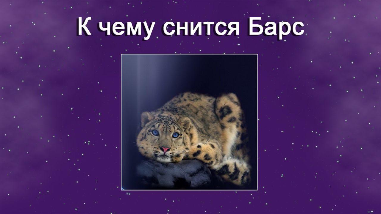 К чему снится Барс - толкование сна