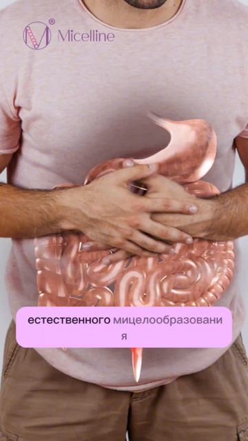 Что такое мицеллы?