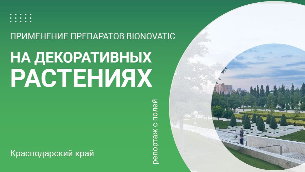 Применение препаратов Bionovatic на декоративных растениях