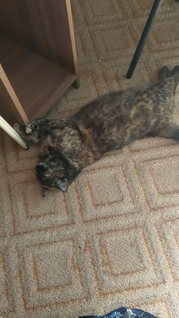 Милота🥰