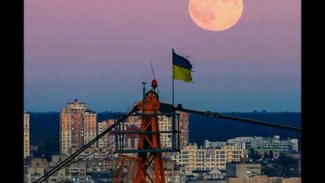 ЗЕЛЕНСКИЙ ДАВИТ НА СТОП / ОРУЖИЯ НЕТ И СДЕЛКИ НЕТ