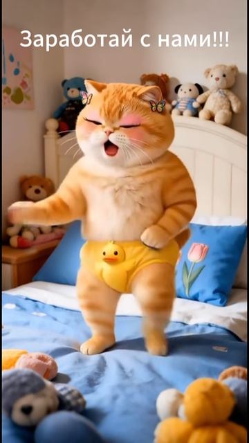 Кот Танцор!