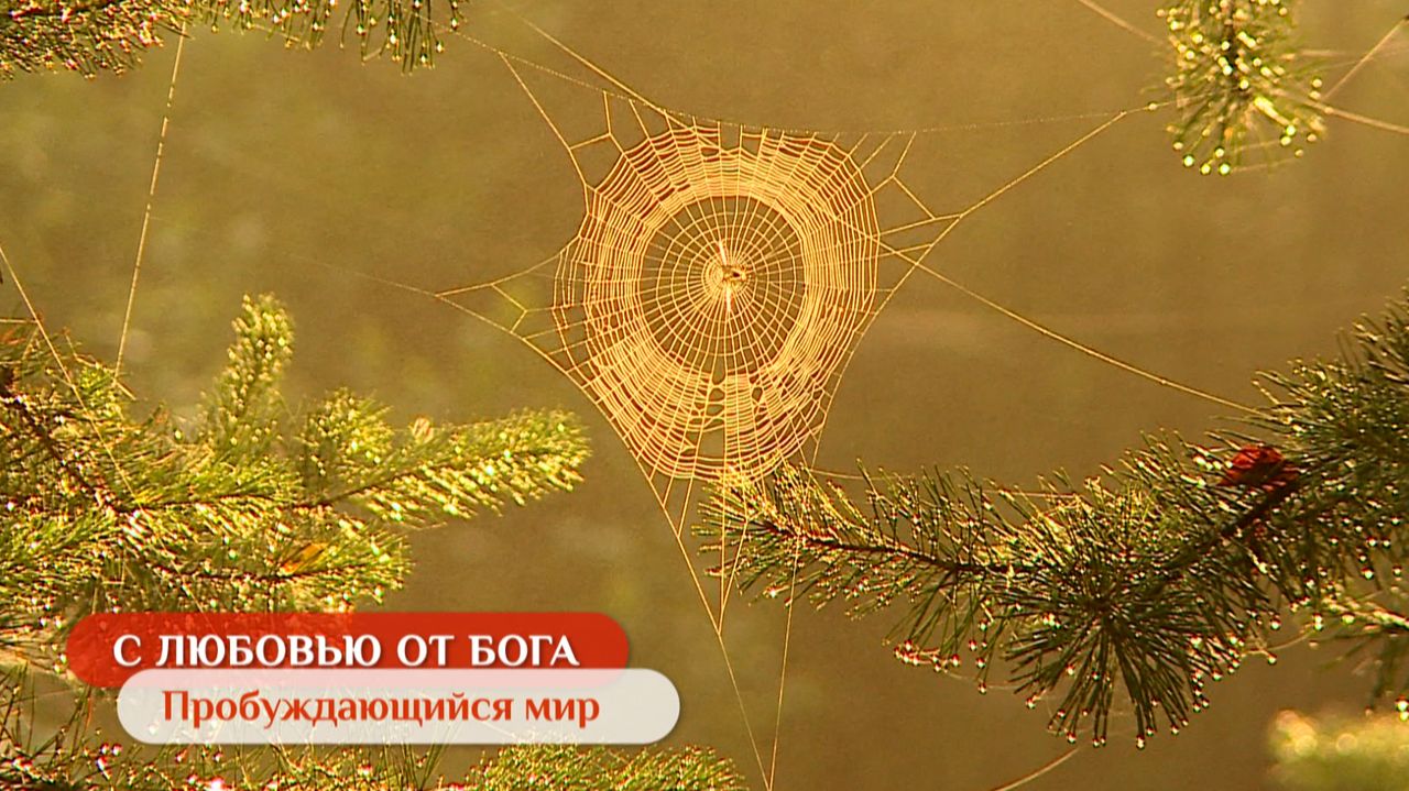 Пробуждающийся мир | С любовью от Бога