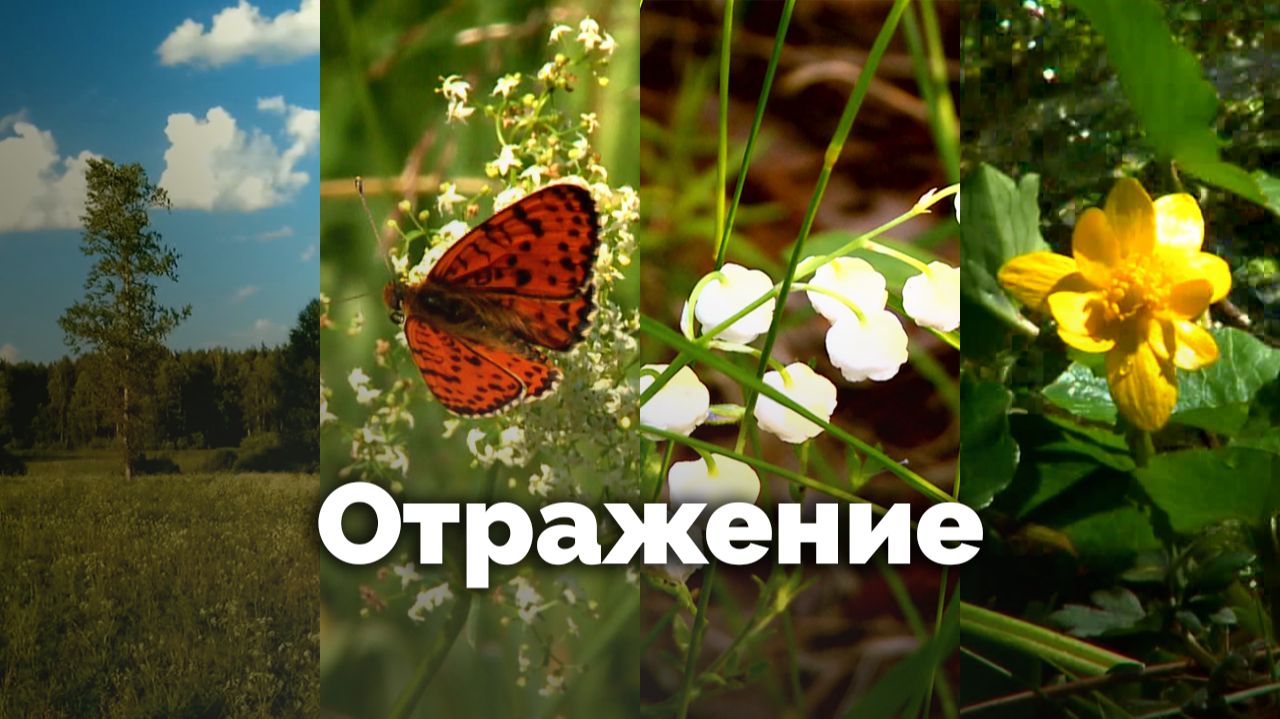 Отражение | С любовью к русской природе