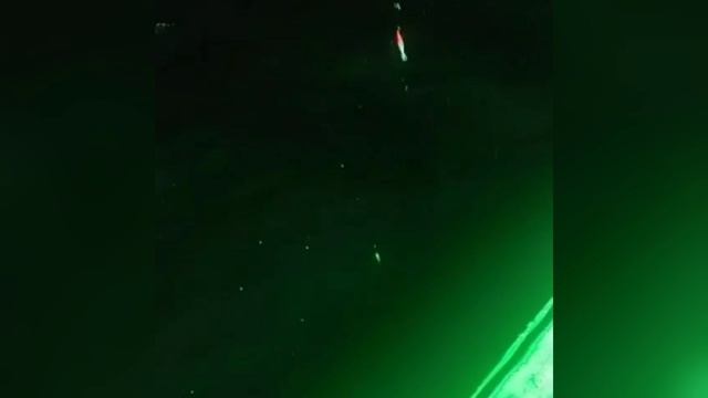 Отлично отловился на кальмарницу  Carrot Fish  от Mr. Musurok 🔥