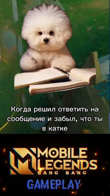 КОГДА СООБЩЕНИЕ ВАЖНЕЕ... ИЛИ НЕТ? 💀