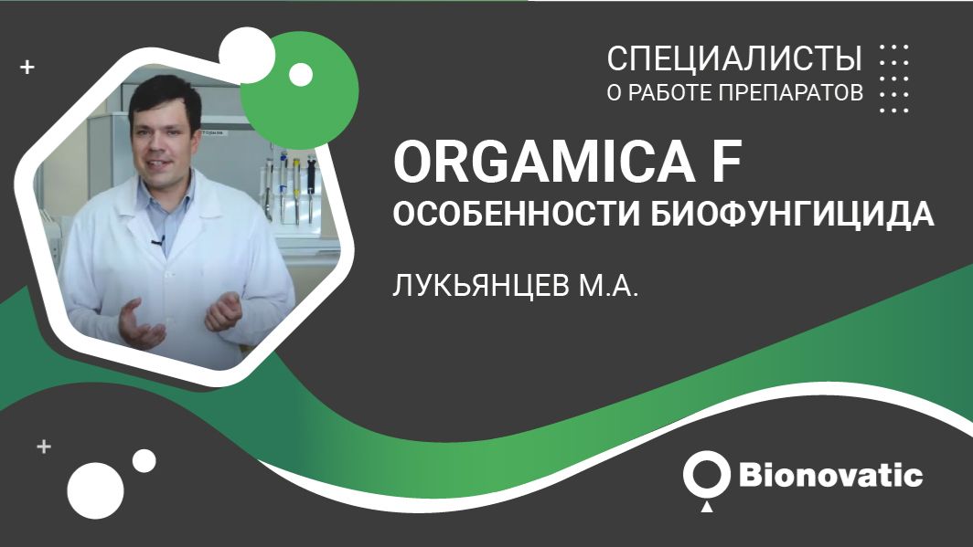 Особенности биофунгицида Orgamica F