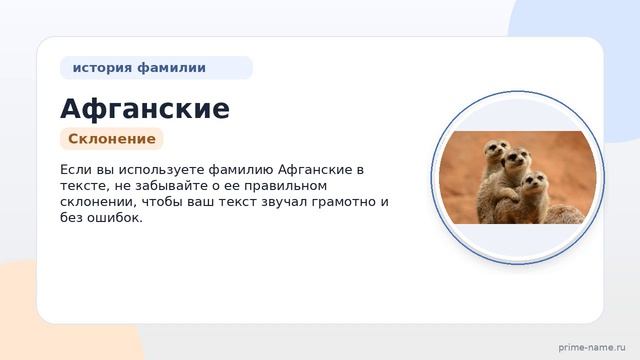 Фамилия Афганские: происхождение, значение и склонение