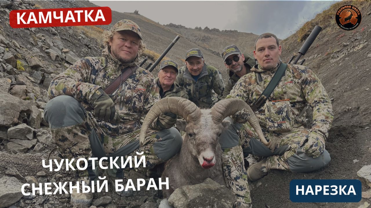 КАМЧАТКА | БАРАН | НАРЕЗКА| РЕАЛЬНАЯ ОХОТА
