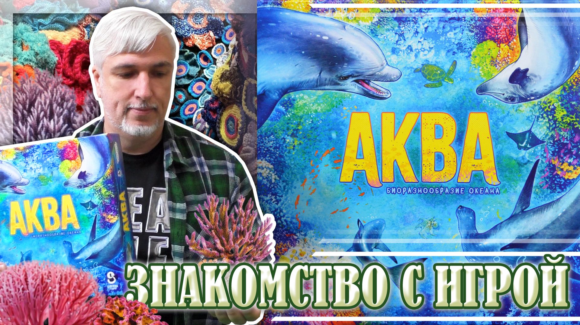Знакомство с настольной игрой «АКВА. БИОРАЗНООБРАЗИЕ ОКЕАНА»