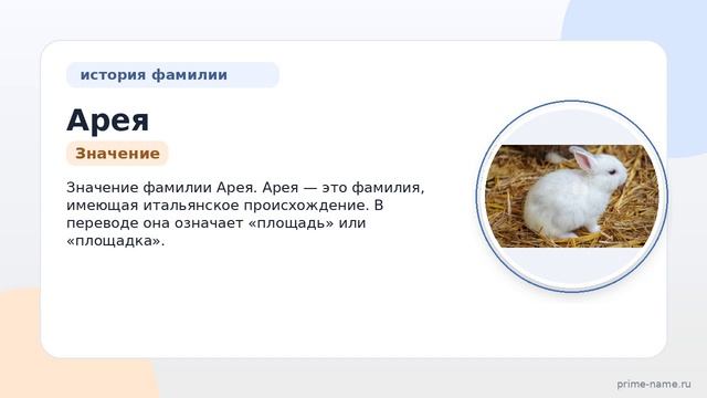 История и значения фамилии Арея: разбираем происхождение и склонение