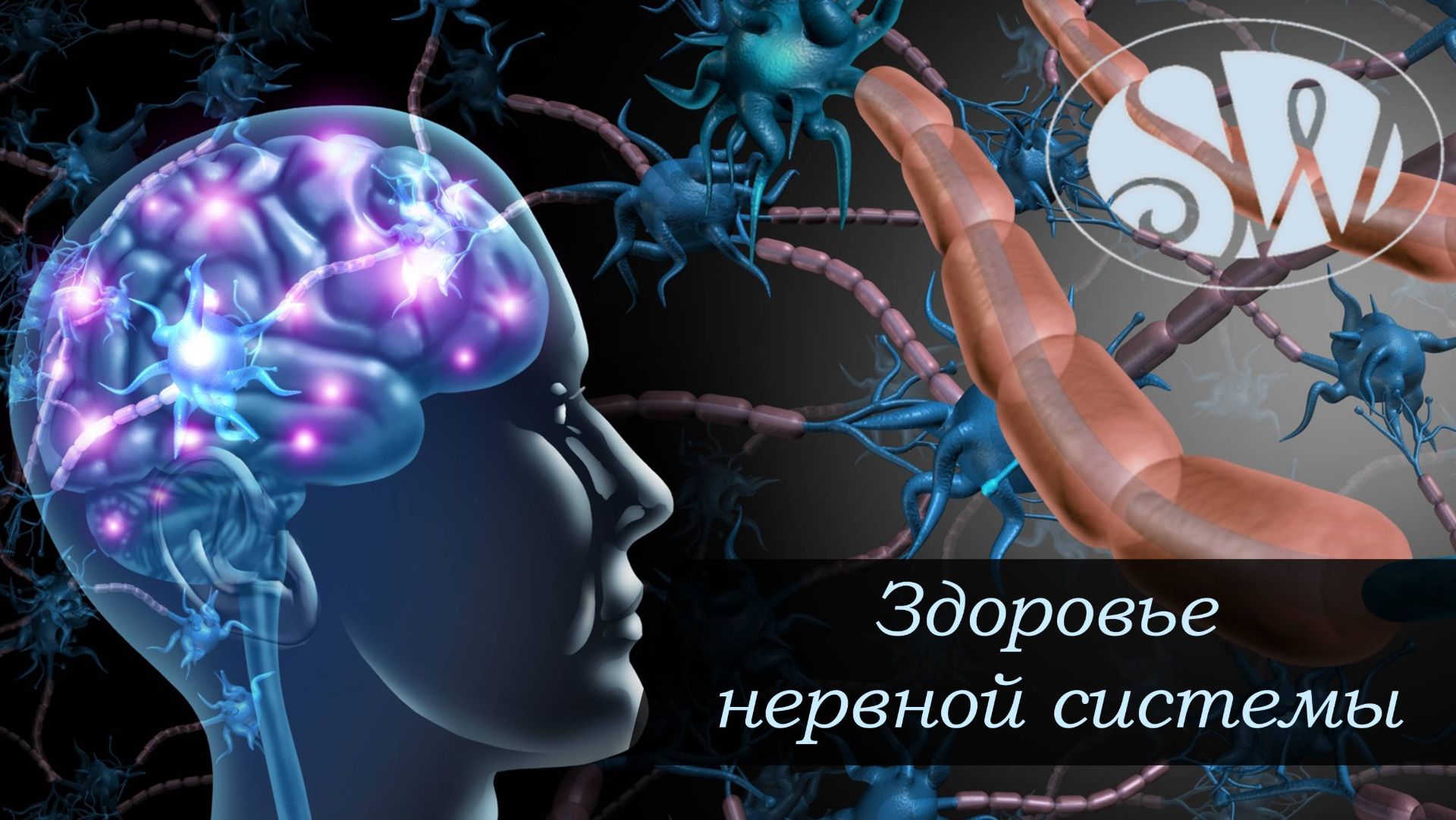 Здоровье нервной системы