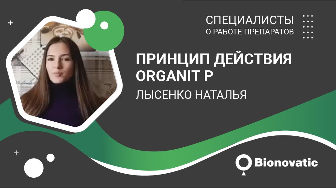 Organit Р