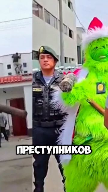 Гениальнейший план полиции в Перу