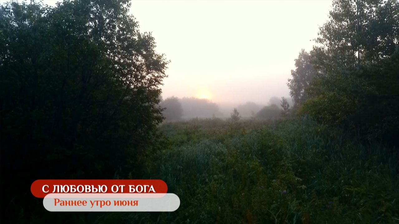 Раннее утро июня | С любовью от Бога