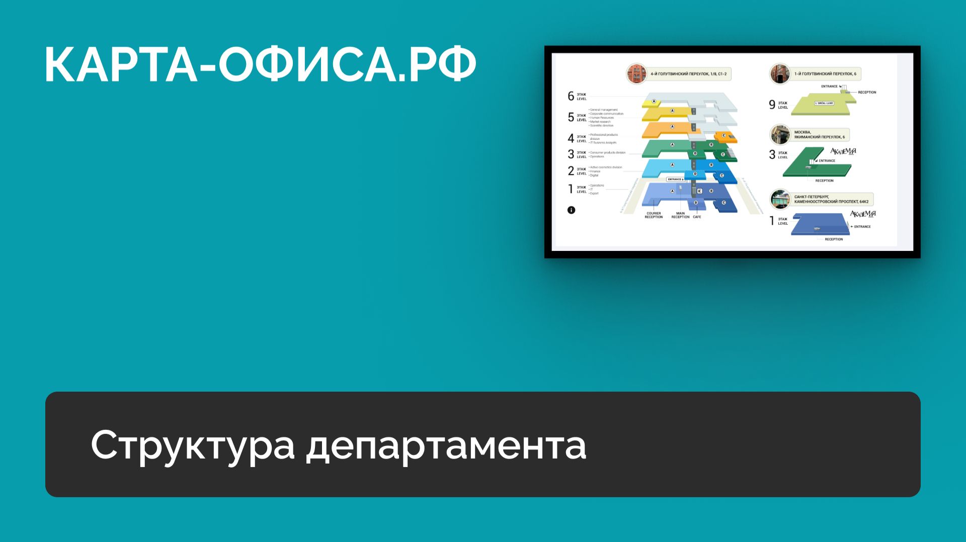 Структура департамента
