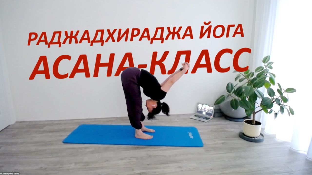 Асаны Раджадхираджа йоги | Rajadhiraja Yoga | Занятие 80