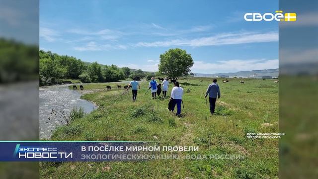 Экспресс новости на Своём от 8 июня 2026 г. 14:00