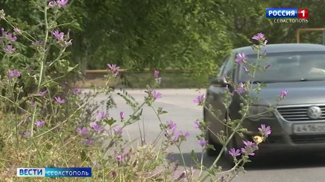 Севастопольцы устроили субботник в районе улицы Матюшенко