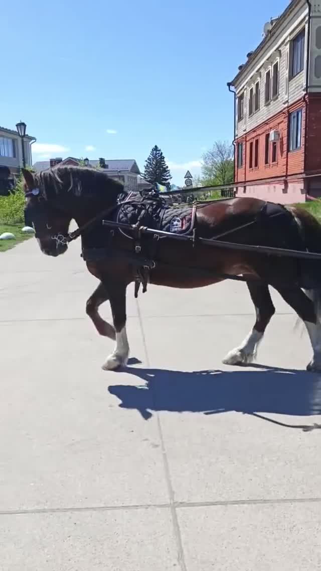 На дилижансе...