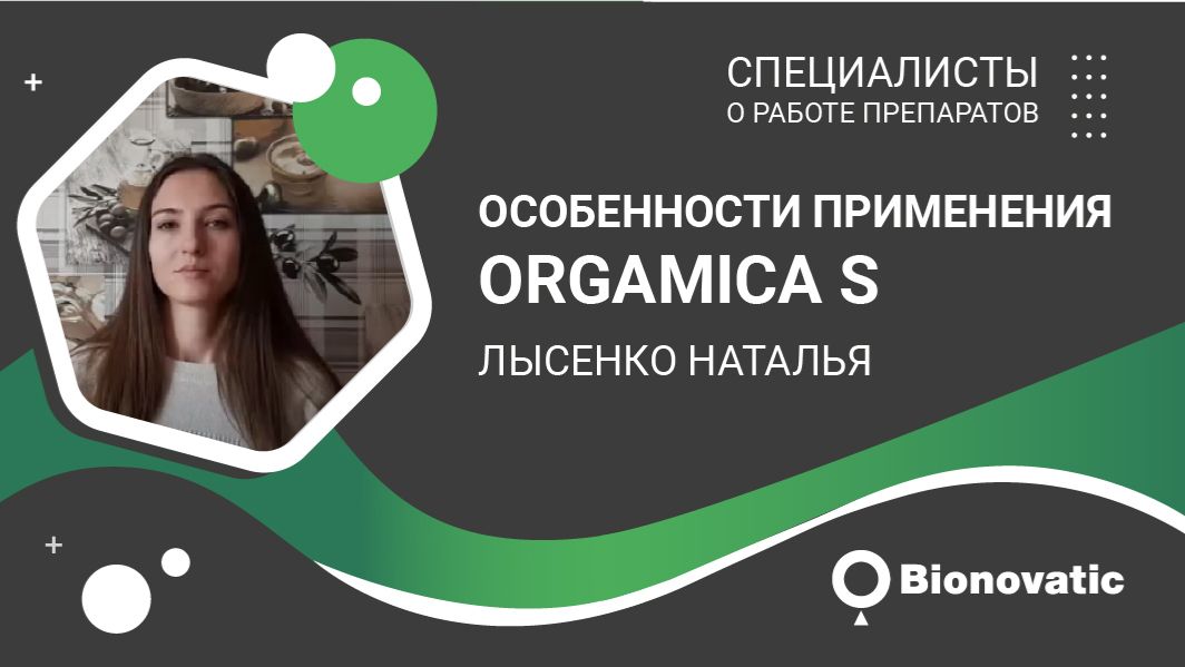 Специалист об особенностях Оргамика С