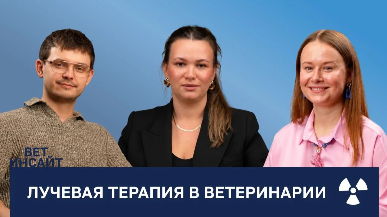 Лучевая терапия у животных: когда она помогает и может ли вылечить рак?