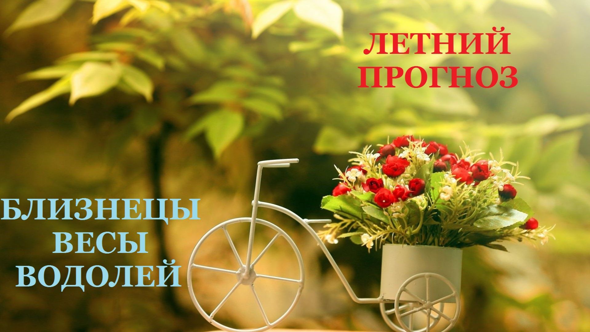 ЛЕТНИЙ ПРОГНОЗ ДЛЯ ЗНАКОВ ВОЗДУХА