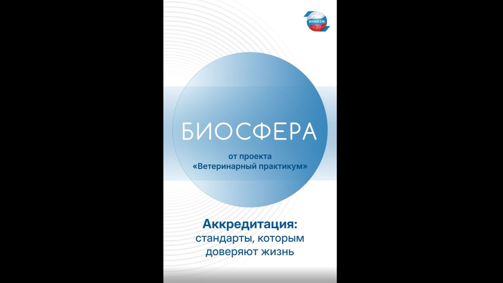 Видеосюжеты