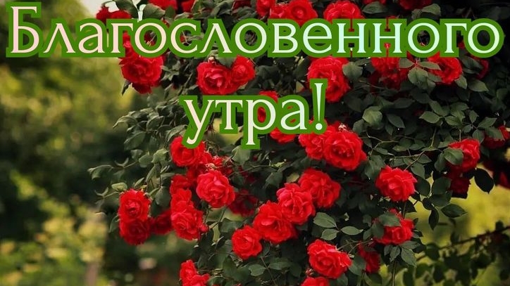 Благословенного доброго утра. Красивая музыкальная открытка.