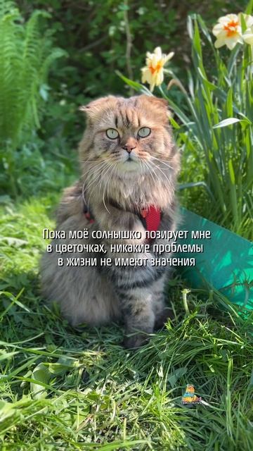 Самуэль на природе
