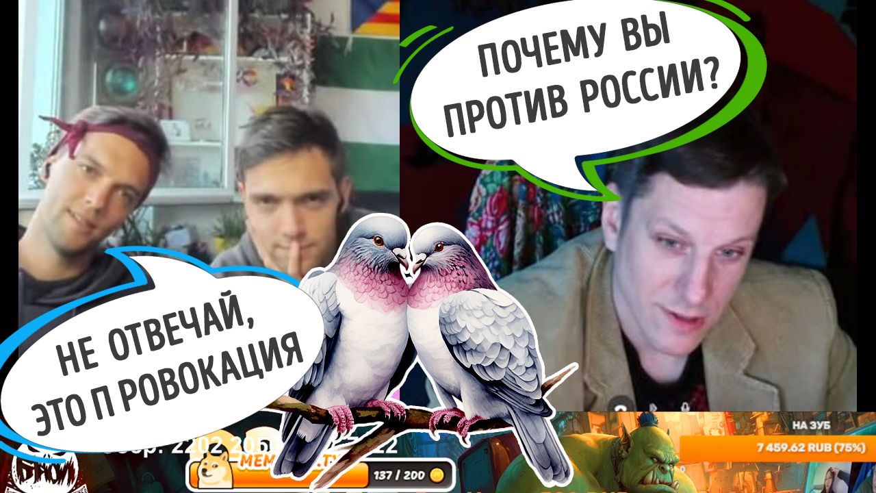 Голуби пытались заклевать Орка,но обломали клювы