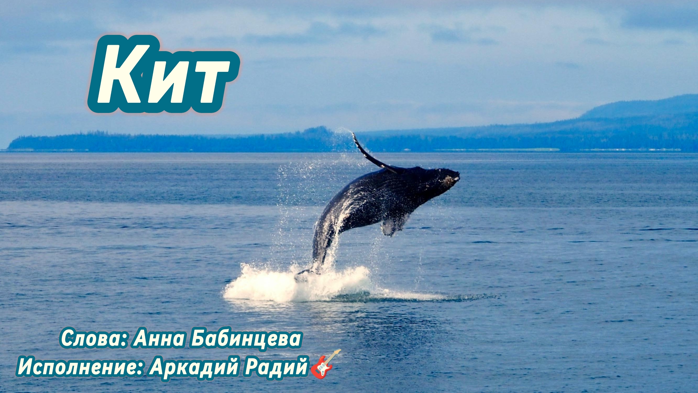 Кит.
Песня прд гитару