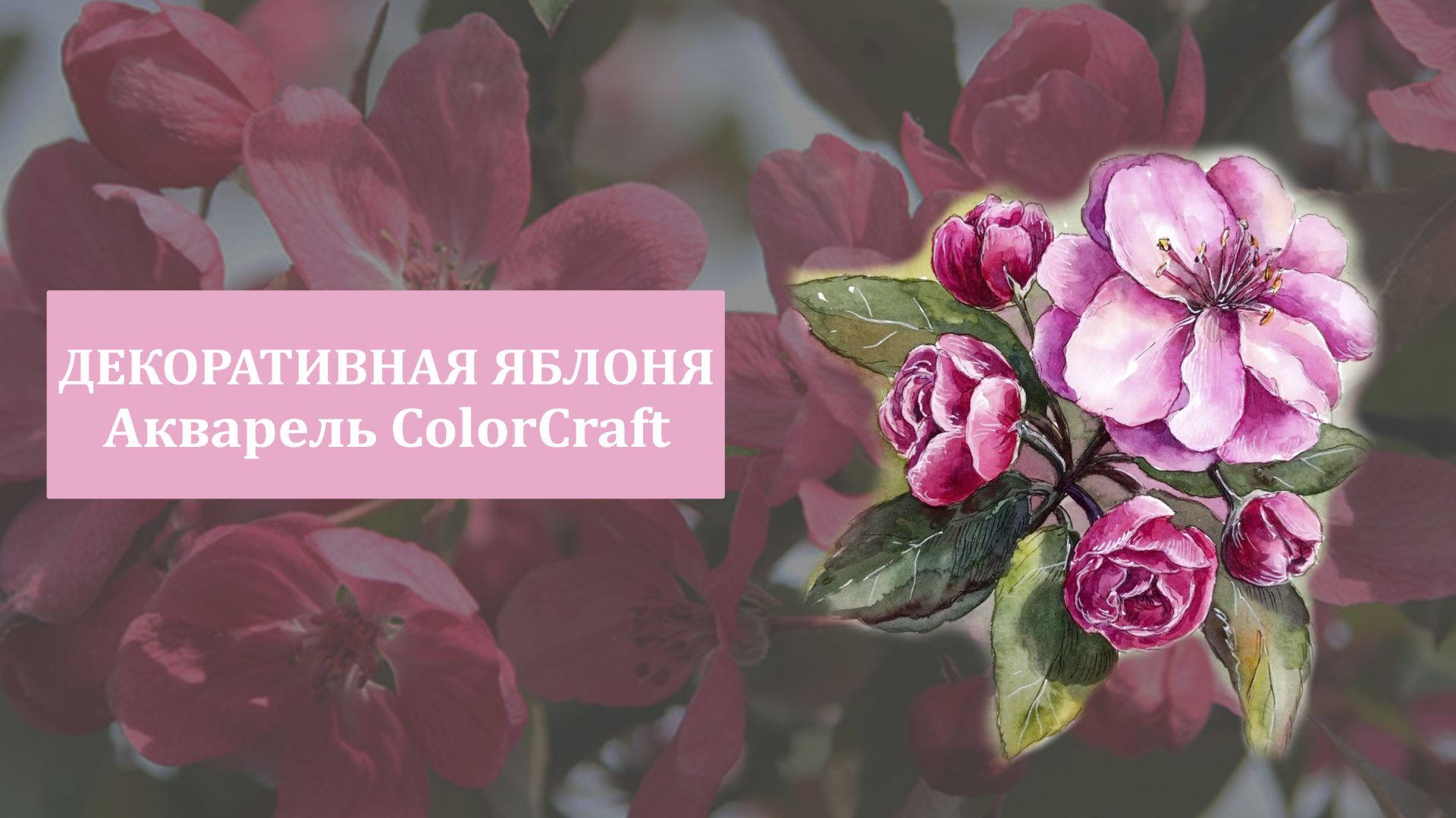 Цветы