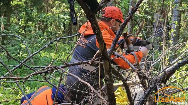 Учения старших поисковых групп «ЛизаАлерт» Питер. Май 2026 г.