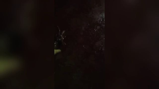 Работал кальмарный воблер 110 мм 17 гр Hunter от Mr.Musurok 🔥