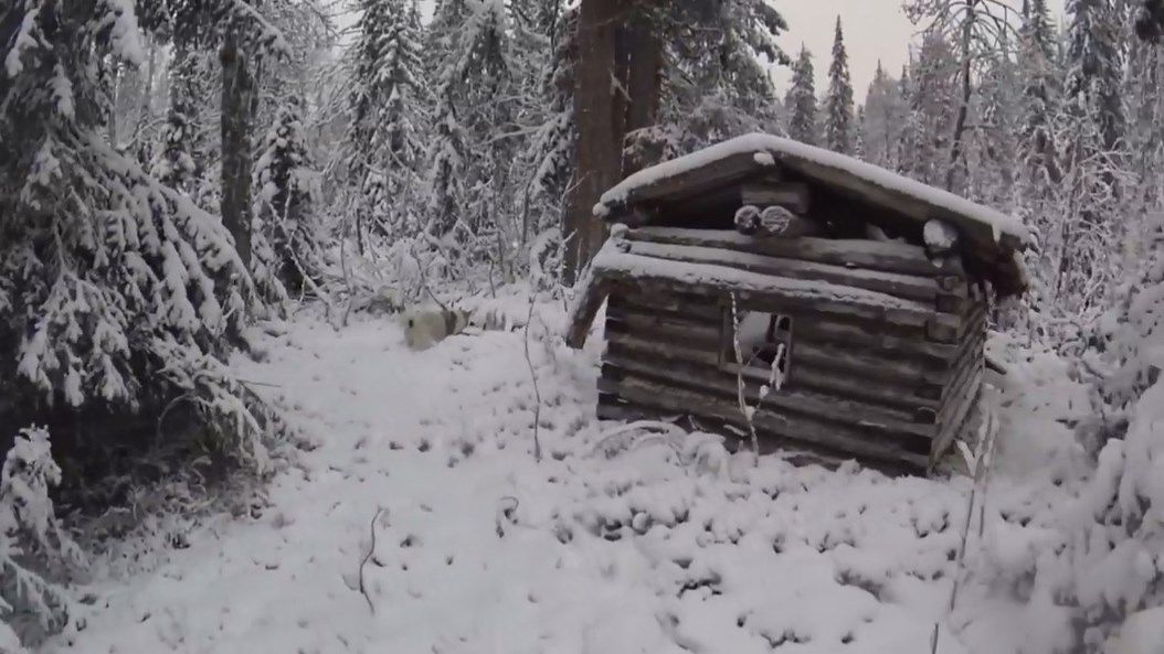 50 дней в тайге Прикамья. Бродяги Севера. Часть 3