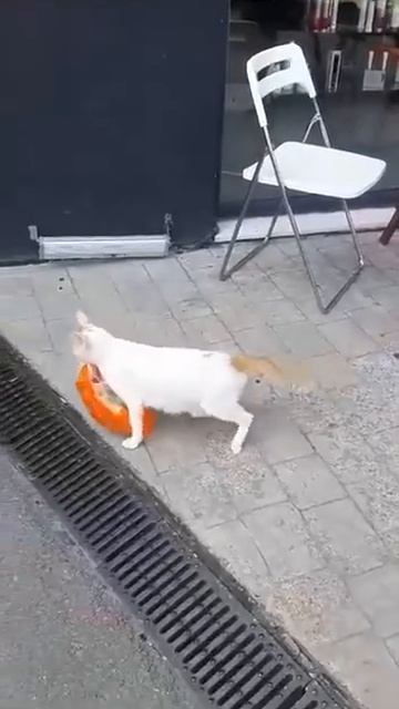 ,0