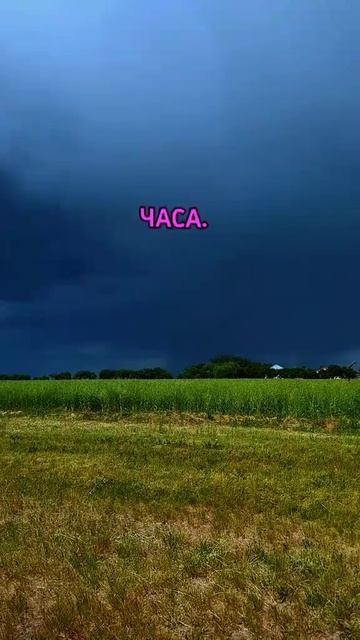 Какая она погода?🤔 Непредсказуемая!😁