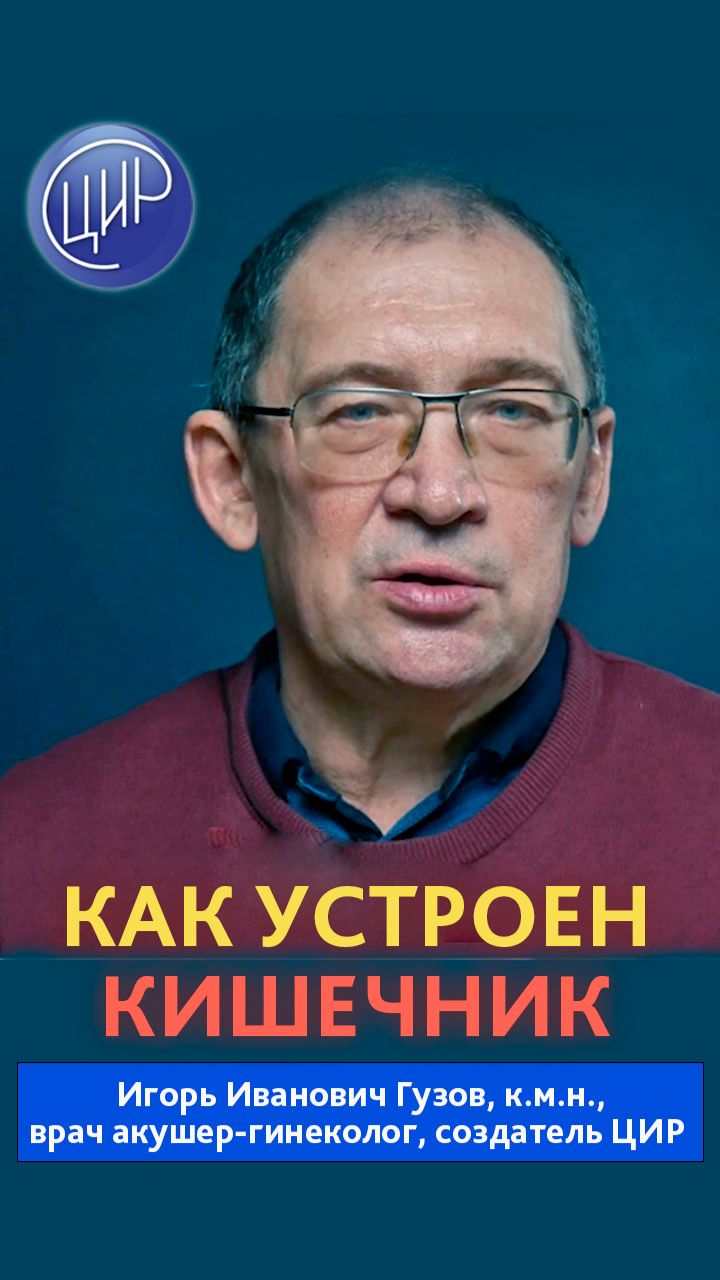 Строение желудочно-кишечного тракта человека. Где больше всего микрофлоры?