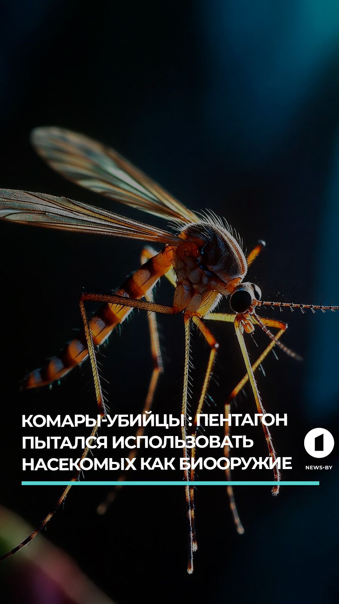 Пентагон пытался использовать комаров как биооружие