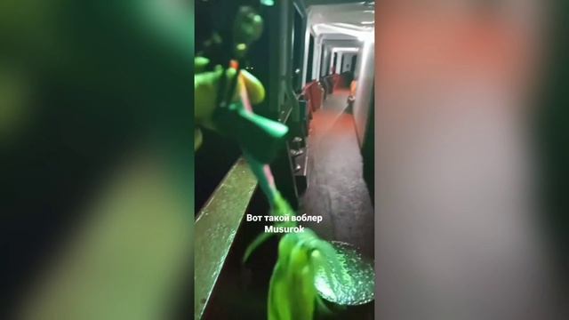 Кальмарный воблер PARROT 17 гр от Mr.Musurok 🔥