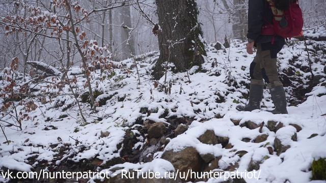 Выживание в дикой природе
