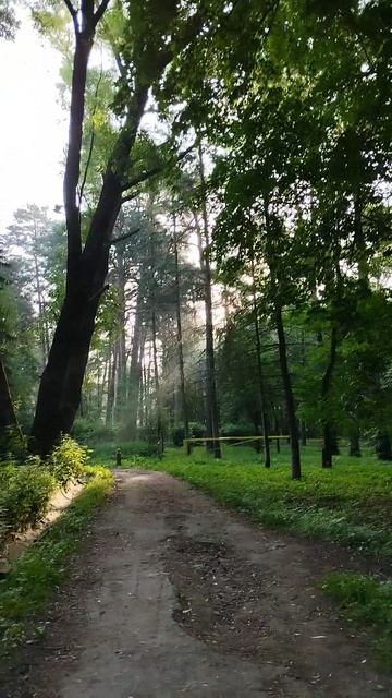 PXL_20260609_060211592