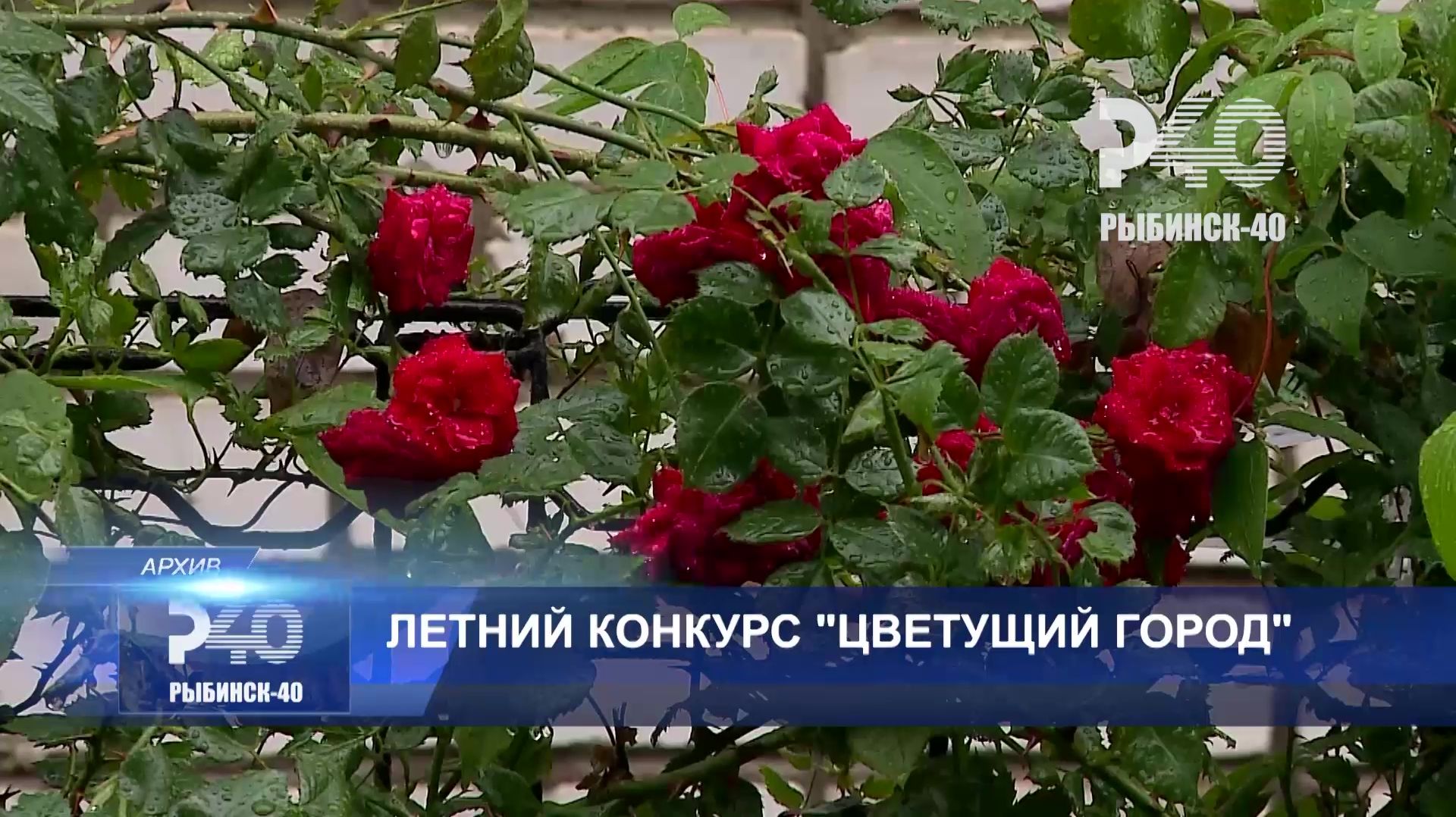 (Рыбинск-40) ЛЕТНИЙ КОНКУРС "ЦВЕТУЩИЙ ГОРОД"