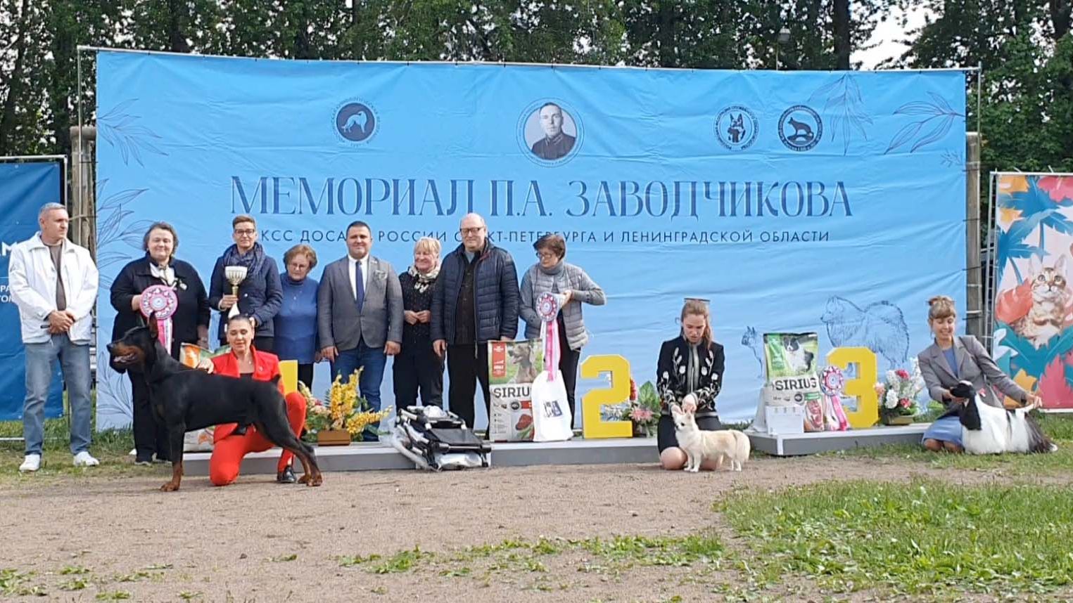 31.05.2026, СПб. "КСС ДОСААФ" (РКФ, РФСС). Рейтинговая выставка "МЕМОРИАЛ ЗАВОДЧИКОВА" (САС, ЧРКФ)
