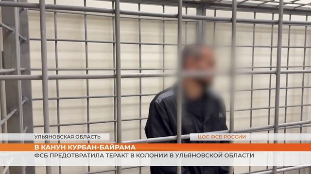 ФСБ предотвратила теракт в колонии в Ульяновской области